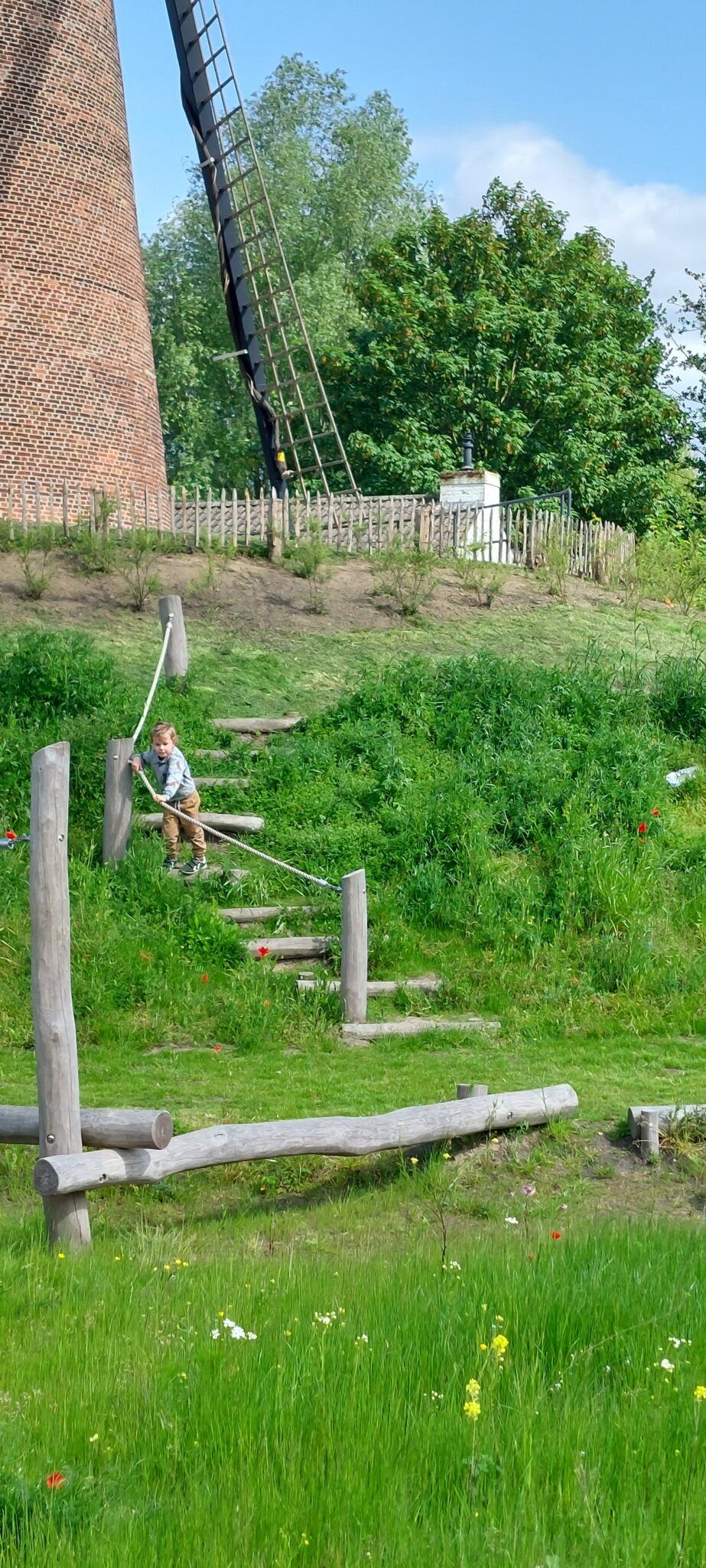 Heirbrugmolen - Lokeren - Groen Inzicht